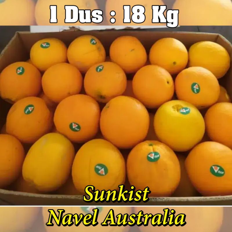 Jual 1 DUS JERUK SUNKIST NAVEL 18KG AUSTRALIA ORI | Shopee Indonesia