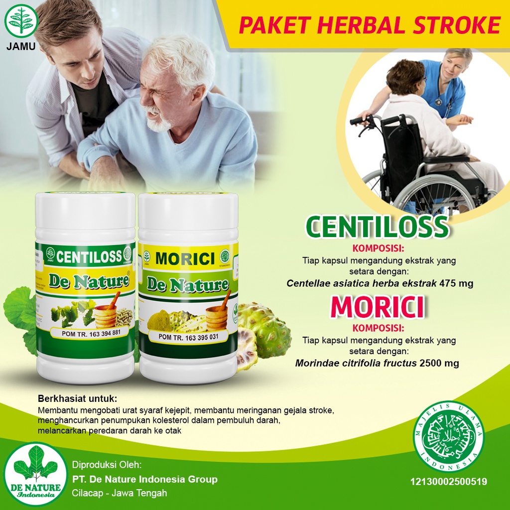 Jual OBAT STROKE STRUKE STRUK RINGAN BERAT, PARKINSON TREMOR TANGAN ...