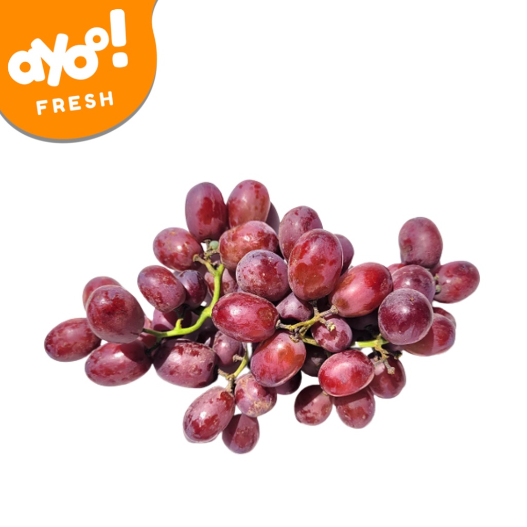 Jual Anggur Scarlet Royal 1 Kg | Shopee Indonesia