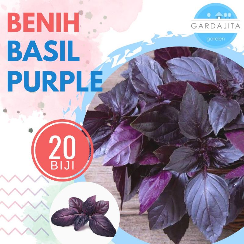 Jual Benih BASIL PURPLE [isi-20] Dark Opal Biji Bibit Sayur | Shopee ...