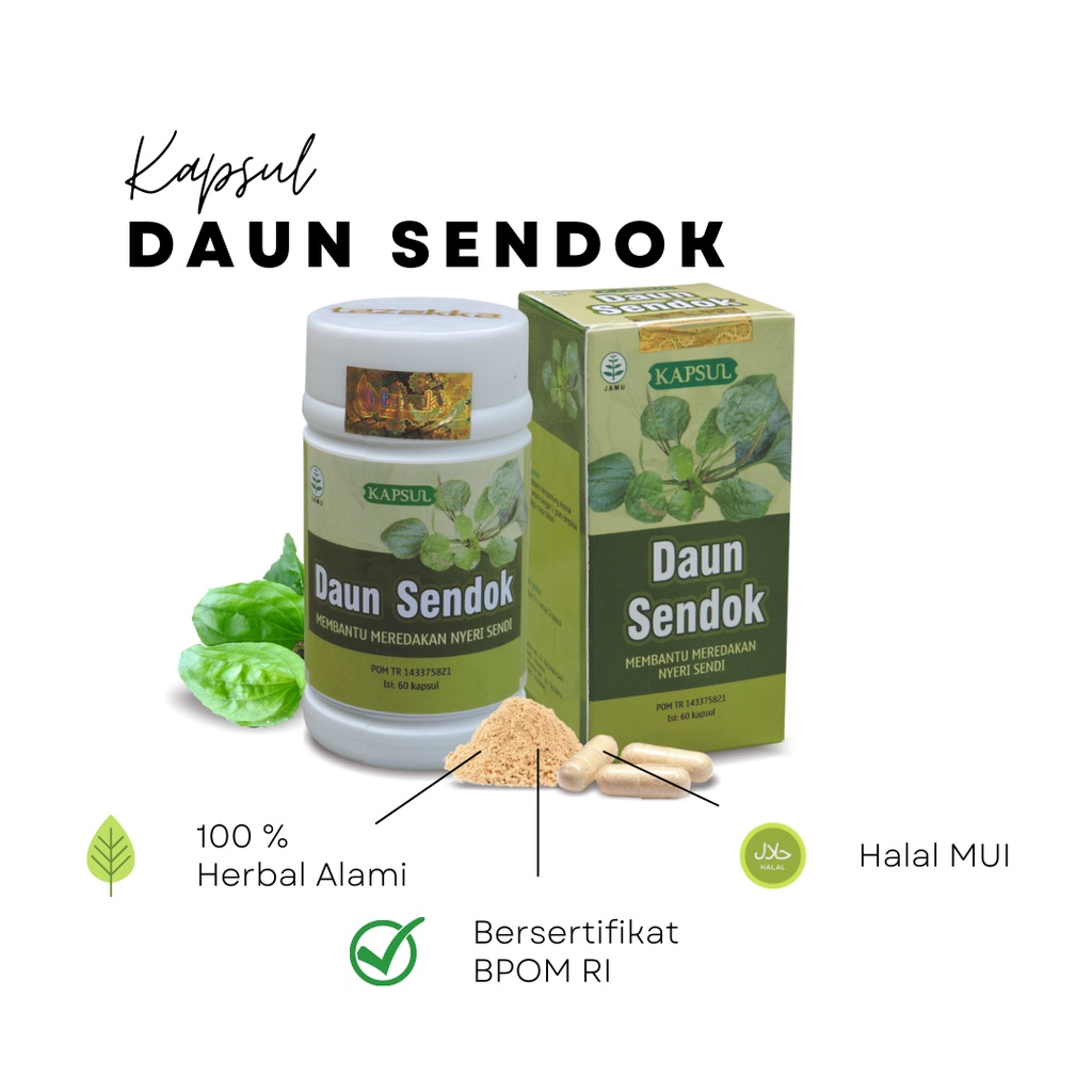 Jual Kapsul Daun Sendok Kering Antiradang Obat Nyeri Sendi dan Tulang ...