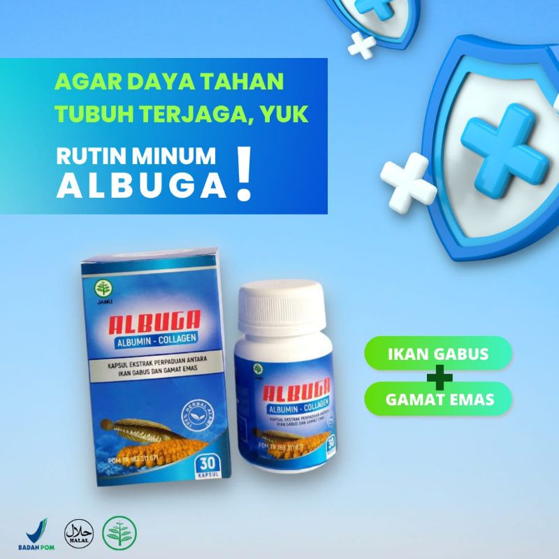 Jual Kapsul Albuga | Shopee Indonesia