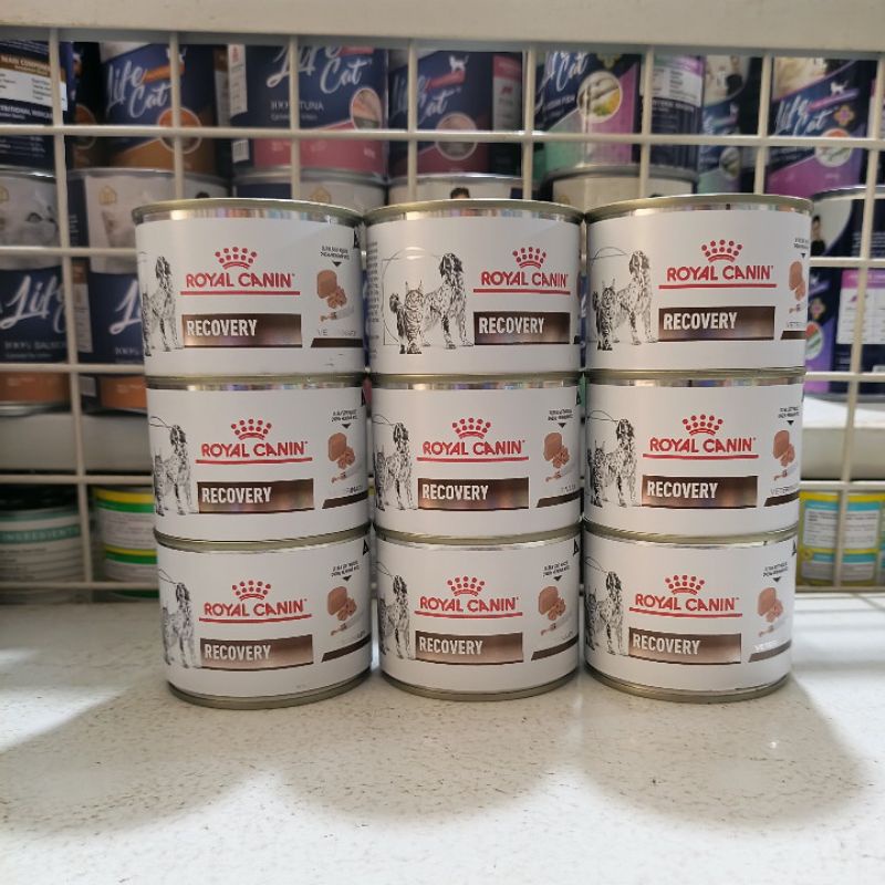 Jual Royal Canin Vet Recovery kucing dan anjing 195G / RC Recovery Cat ...