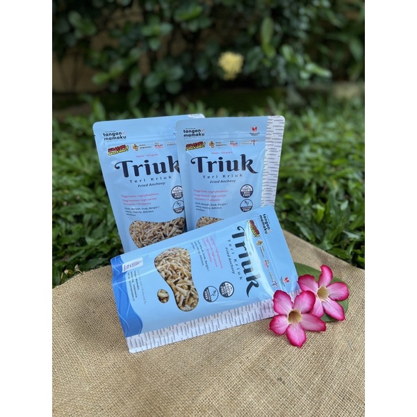 Jual SNACK ANAK TRIUK / TERI NASI / TERI MEDAN KEMASAN POUCH/ TERI ...