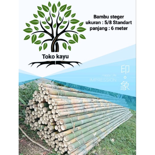 Jual bambu steger diameter 6/7 (6 meter) min order 50 batang | Shopee ...