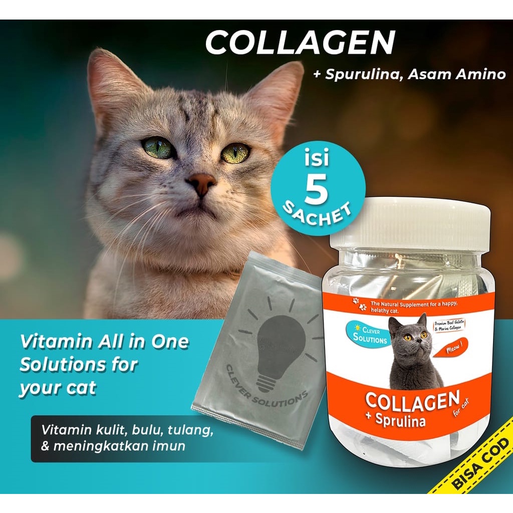 Jual COLLAGEN Vitamin Kucing Suplemen Penggemuk Vitamin Bulu Kucing ...