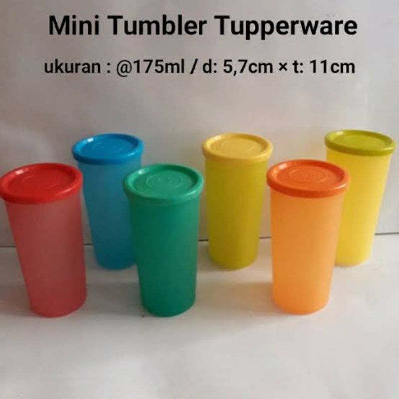 Jual Tupperware tumbler 175 ml botol kecil | Shopee Indonesia