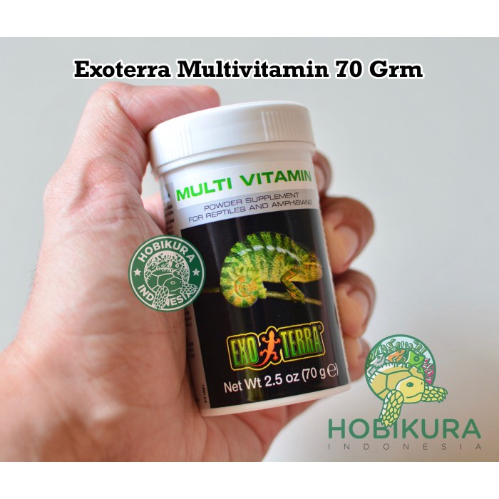 Jual EXOTERRA VITAMIN MULTIVITAMIN REPTILE 70 GR TORTO KURA KODOK CHAMELEON | Shopee Indonesia