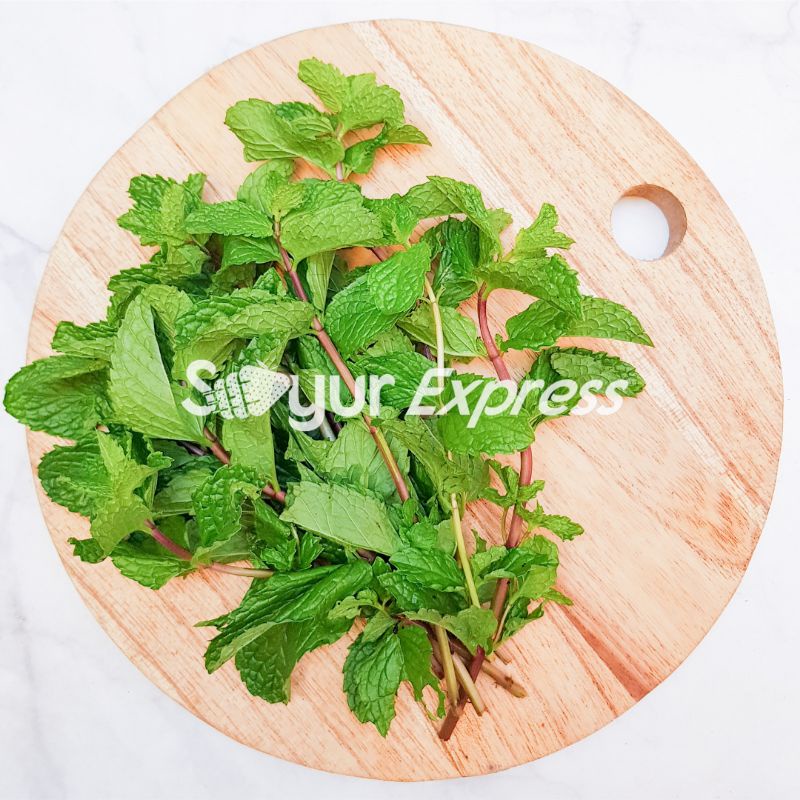 Jual KIRIM INSTAN Daun Mint Segar / Peppermint | Shopee Indonesia