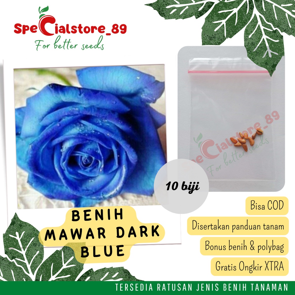 Jual 10 Biji Bunga Mawar Biru Tua Import - Benih Urban | Shopee Indonesia