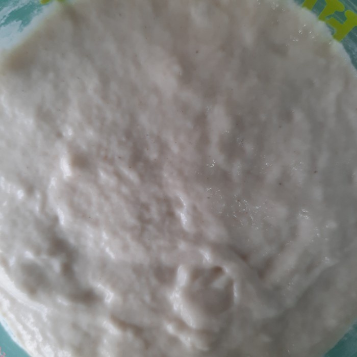 Jual Ragg Ragi Alami Ragi Hidup Living Yeast Levain Madre Stater ...