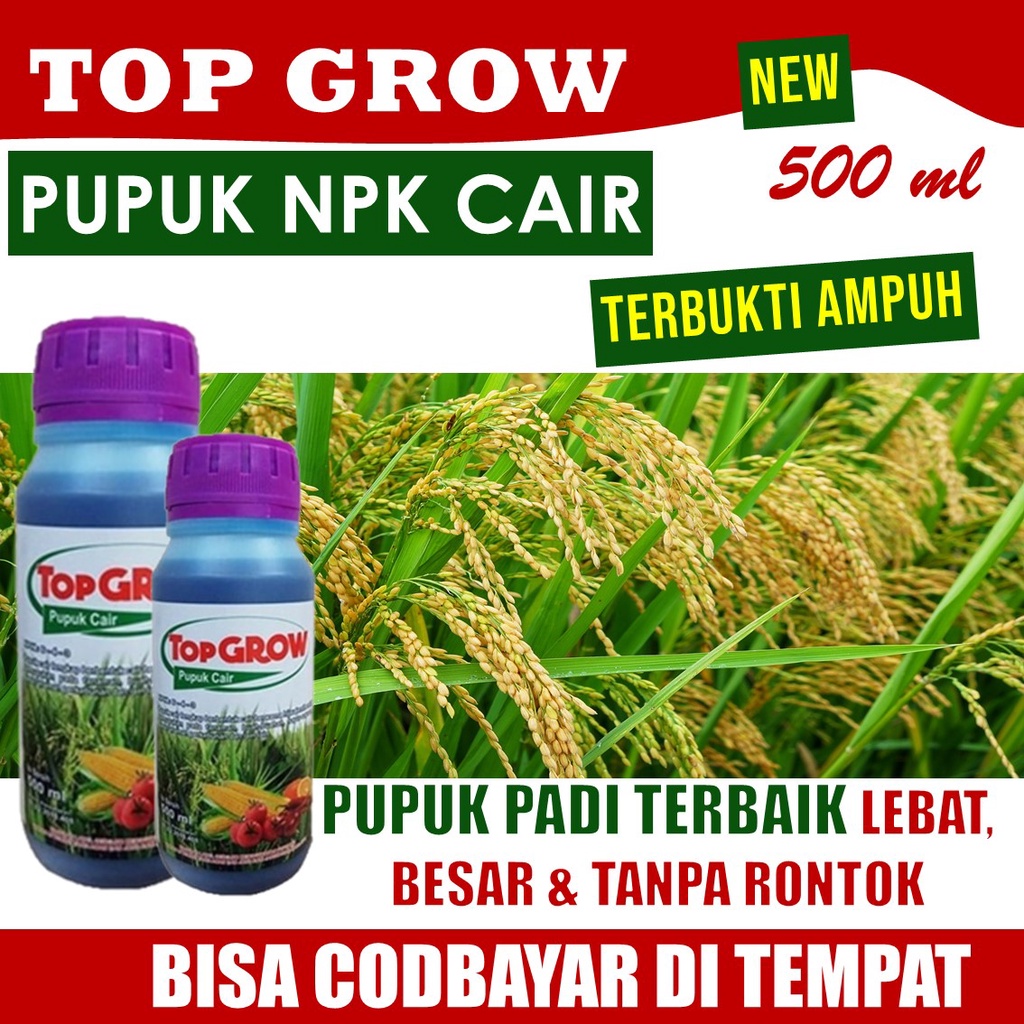 Jual TOP GROW 500 ML Pupuk Organik Cair Pelebat Anakan Padi Padat dan Besar, Obat Semprot ...