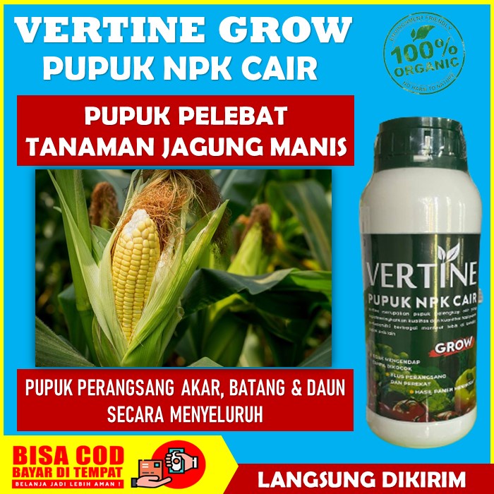 Jual VERTINE GROW OBAT PELEBAT TANAMAN JAGUNG MANIS - OBAT PENYUBUR Jagung Manis, Pupuk ...