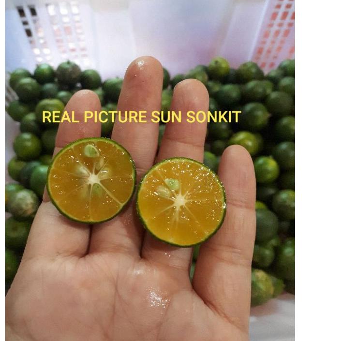 Jual JERUK SONKIT 1KG / JERUK KASTURI / JERUK KUNCI / LEMON CUI ...
