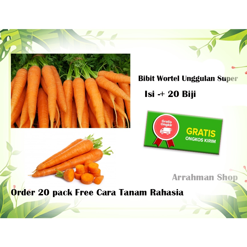 Jual Biji Benih Wortel Kuroda - Bibit Wortel Tanaman Sayur Murah ...