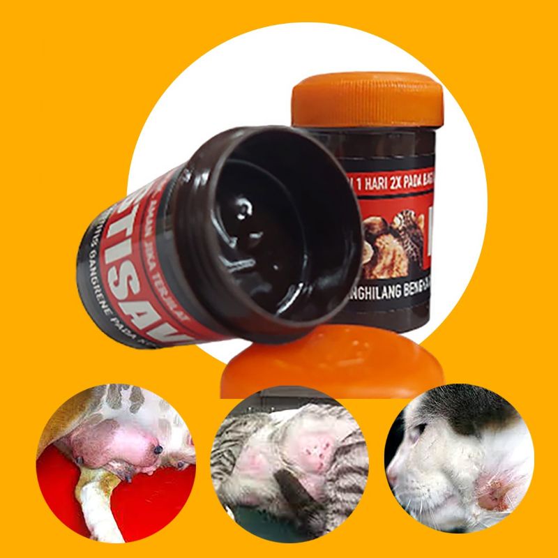 Jual MASTISAVE - Obat Mastitis Kucing Obat Puting Bengkak Obat Abses ...