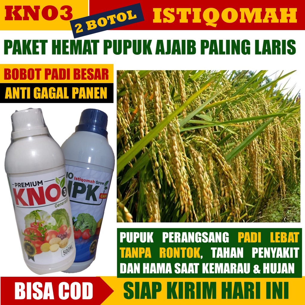 Jual PAKET 2 BOTOL BIO ISTIQOMAH & KNO3 PREMIUM OBAT PELEBAT ANAKAN ...