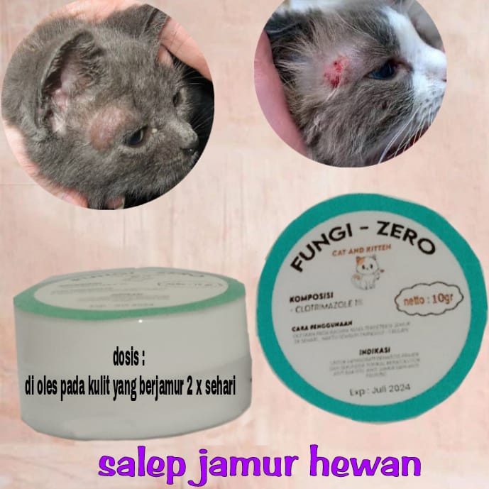 Jual Obat salep jamur kucing ampuh /salep luka jamur/salep jamur ...