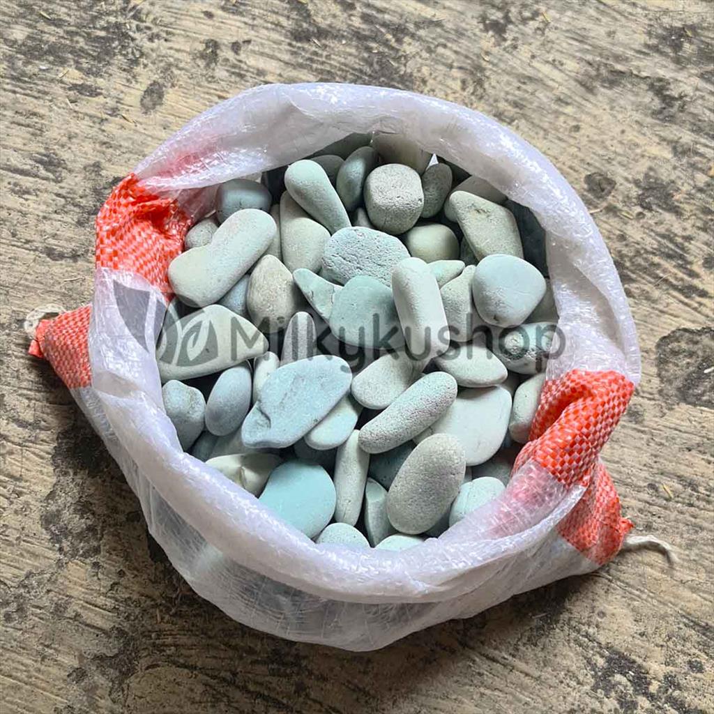 Jual BATU KORAL HIJAU FLORES KECIL - HIAS TAMAN AQUASCAPE VIA GOSEND GRAB | Shopee Indonesia