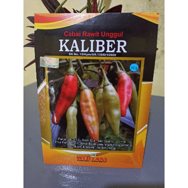 Jual Benih Cabai Rawit Kaliber 10gr kemasan pabrik original | Shopee ...
