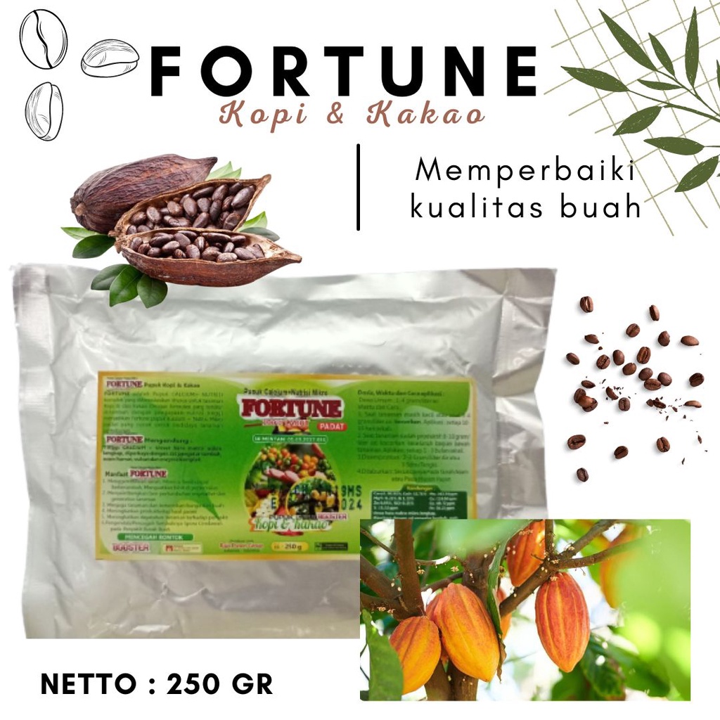 Jual FORTUNE PADAT Pupuk Kakao Agar Berbuah Lebat,Pupuk Untuk Kakao ...