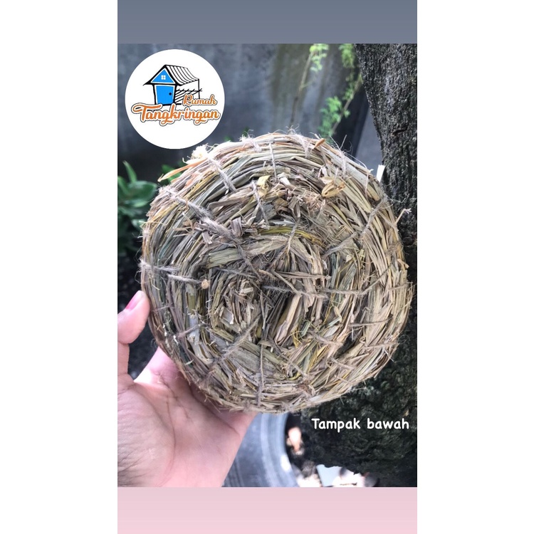 Jual Sarang Burung Perkutut dan deruk dari jerami | Shopee Indonesia
