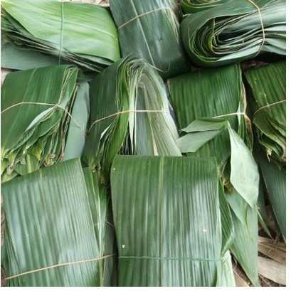 Jual Daun Bambu Apus Bungkus Bacang (per lembar) | Shopee Indonesia