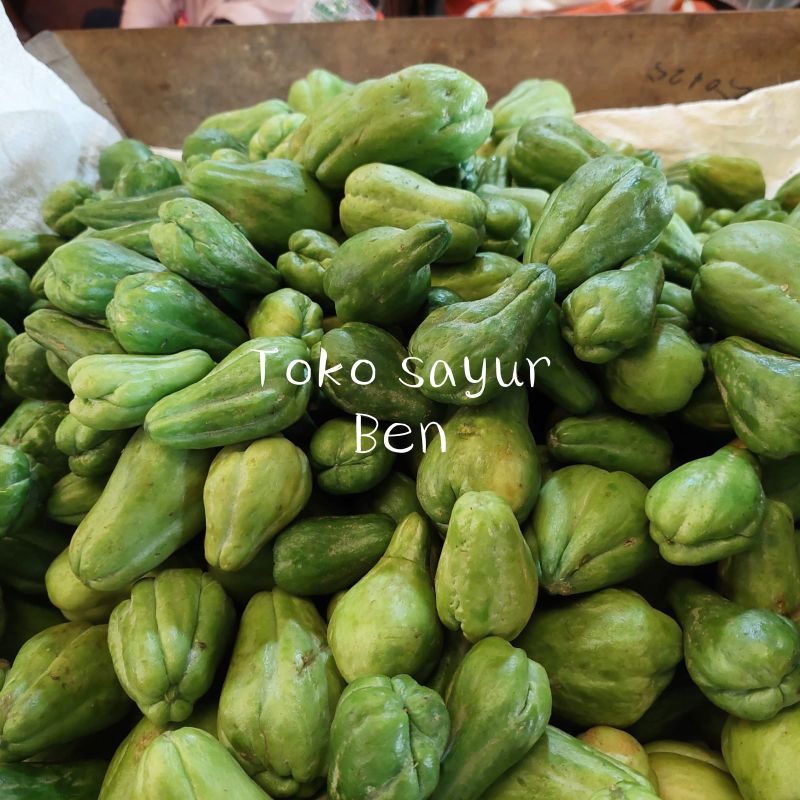 Jual labu acar / labu Siam kecil | Shopee Indonesia