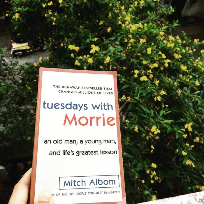 Jual Novel Tuesday With Morrie - Mitch Albom | Shopee Indonesia