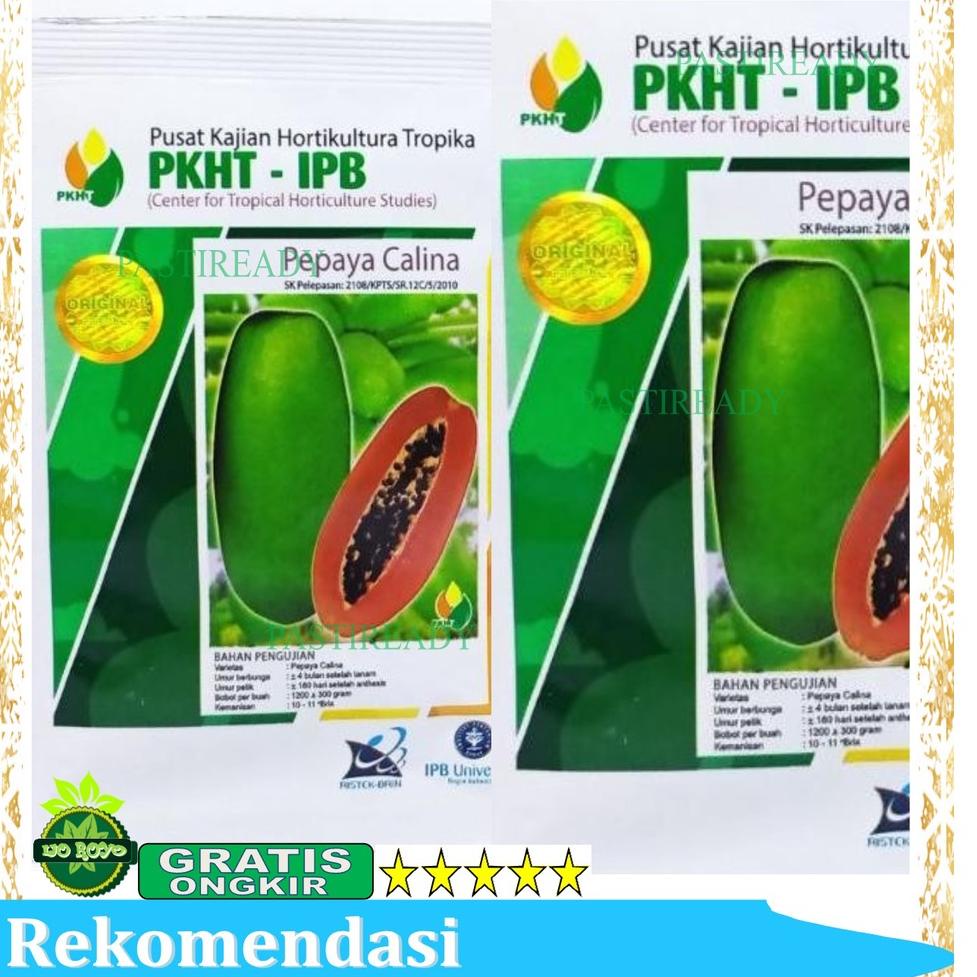 Jual [P-87 ] BENIH PEPAYA CALINA CALIFORNIA pkht IPB ISI 250 botani ...
