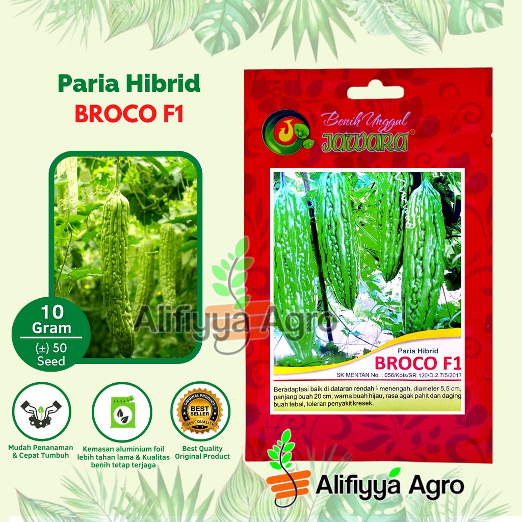 Jual BENIH PARIA BROCO F1 JAWARA ISI 10 GRAM ( +/- 150 BENIH ) | Shopee ...