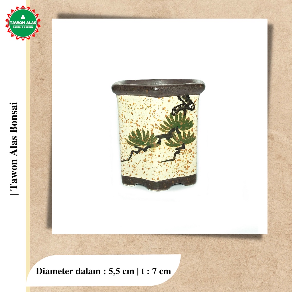 Jual Pot Bonsai Keramik Mame Segi Enam Unik | Shopee Indonesia