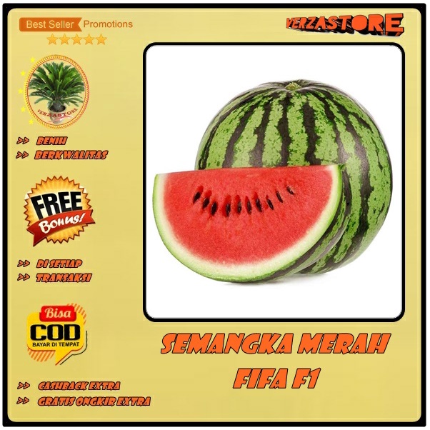 Jual 5-Benih Semangka Merah Unggul FIFA F1 - Bibit Buah Buahan - Benih ...