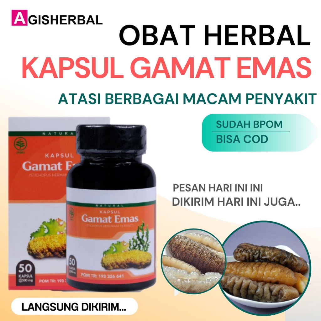 Jual Kapsul Gamat Emas Original Isi 50 Kapsul | Shopee Indonesia