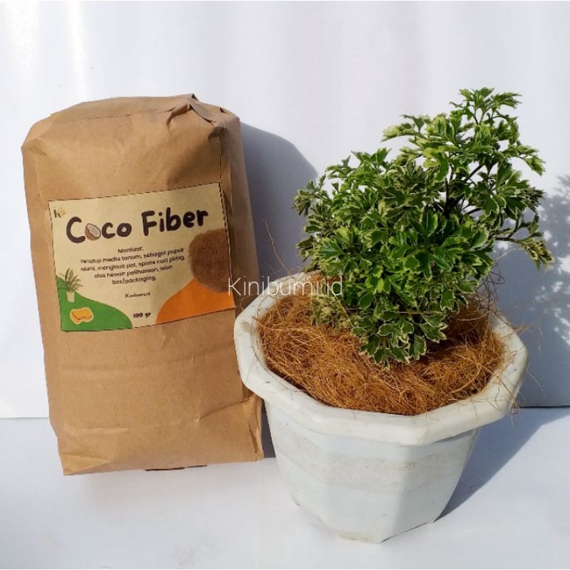 Jual Sabut Serabut Kelapa Media Tanam Sabut Cuci Piring Coco Fiber ...