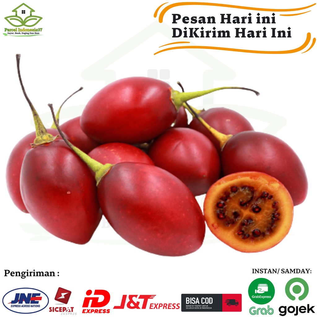 Jual Terong Belanda 1kg parcel indonesia | Shopee Indonesia