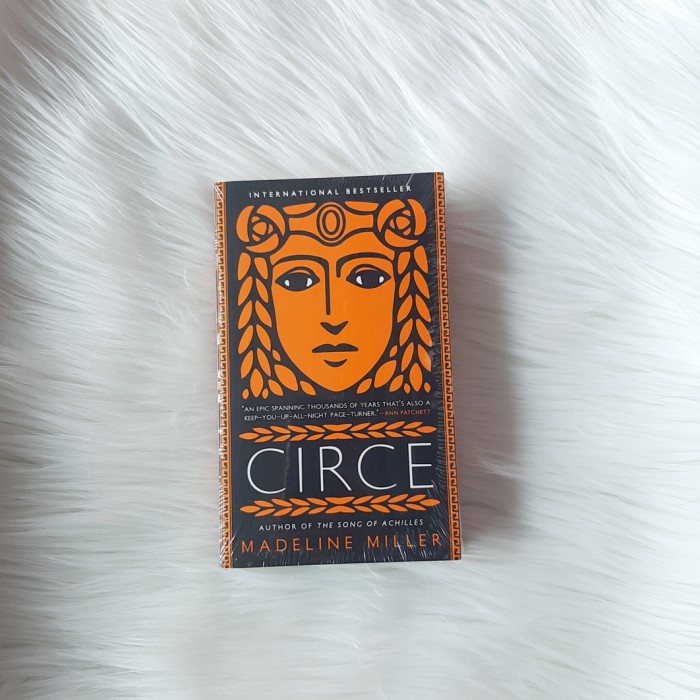 Jual Novel Circe Madeline Miller | Shopee Indonesia