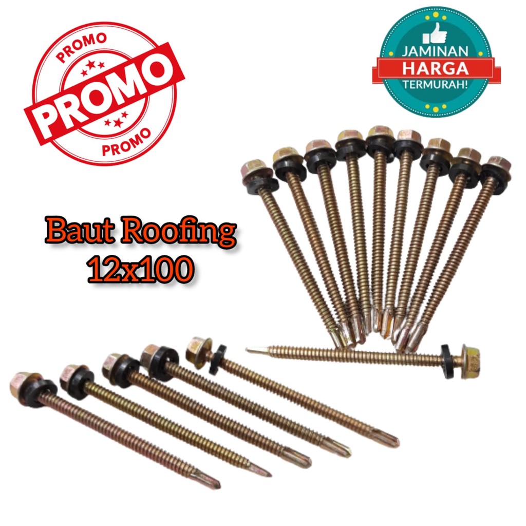 Jual Baut Skrup Sekrup Roofing Baja Ringan Atap Plafon 10cm 12x100 10 ...