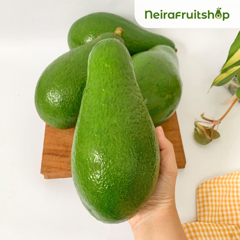 Jual ALPUKAT [1 KG] SUPER JUMBO PREMIUM QUALITY | Shopee Indonesia