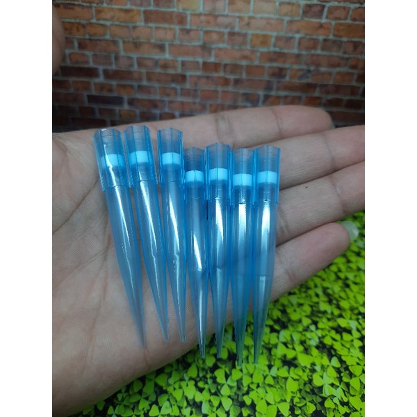 Jual Blue Tips Steril 1000ul Isi 500 Pcs | Blue Tips Steril | Shopee ...