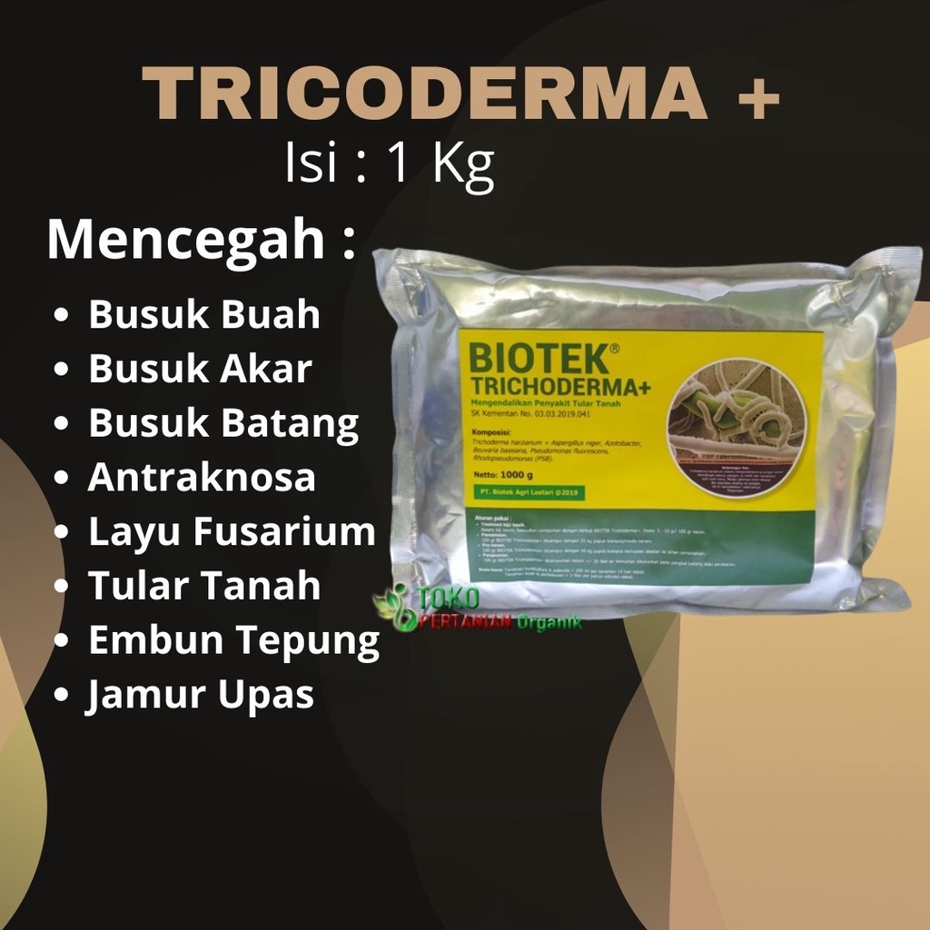 Jual Biotek Pupuk Hayati Trichoderma+ Cegah Fusarium Wilt pada Kacang ...