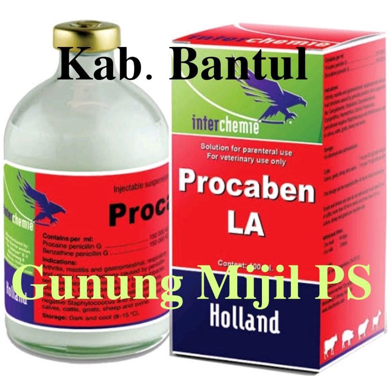 Jual Procaben-LA Pengganti Penstrep (ready for PMK FMD penyakit mulut ...