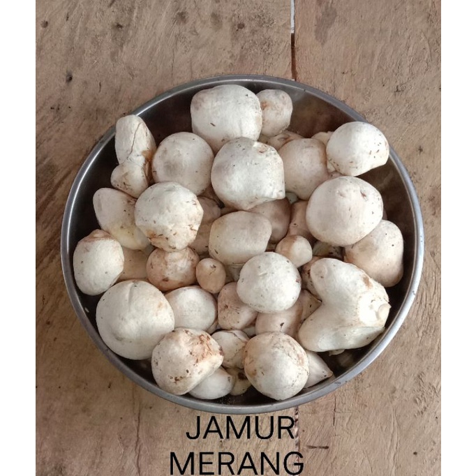 Jual Jamur Merang Sultan Segar | Shopee Indonesia