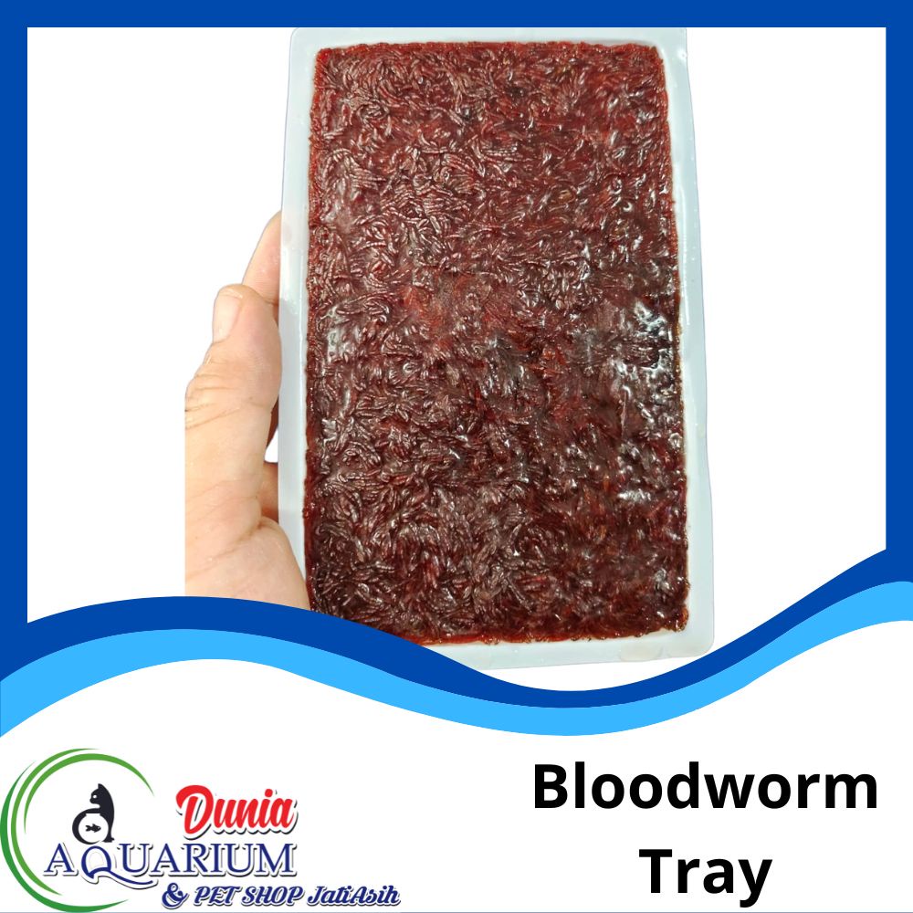 Jual Cacing Beku Bloodworm Tray Pakan Alami Ikan Hias Aquarium ...