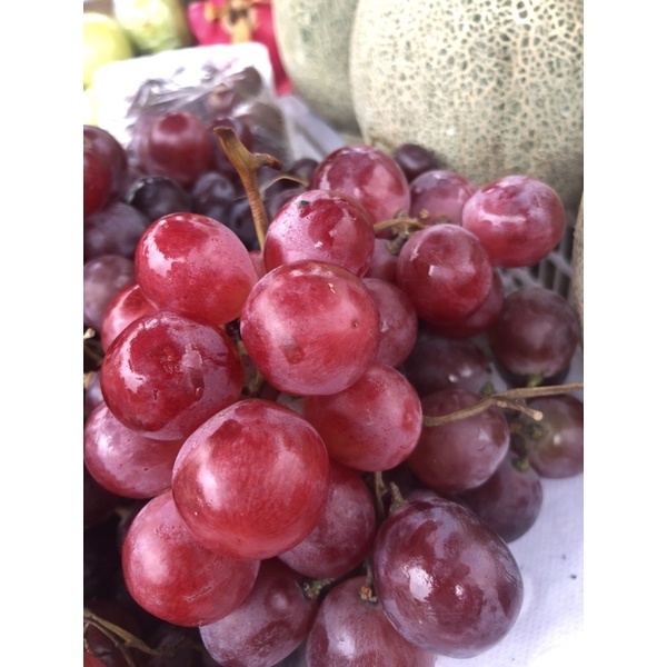Jual Buah Anggur Merah RRC | Shopee Indonesia