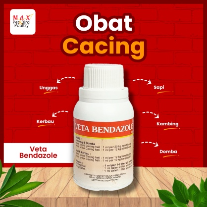 Jual OBAT CACING Cair Bendazole 100ml - obat cacing ayam - obat cacing ...