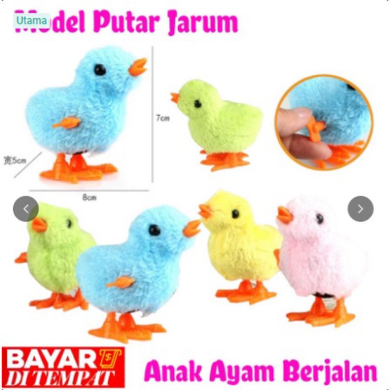Jual Mainan Anak Ayam Berjalan Model Putar Untuk Anak - Ayam Putar Jam ...