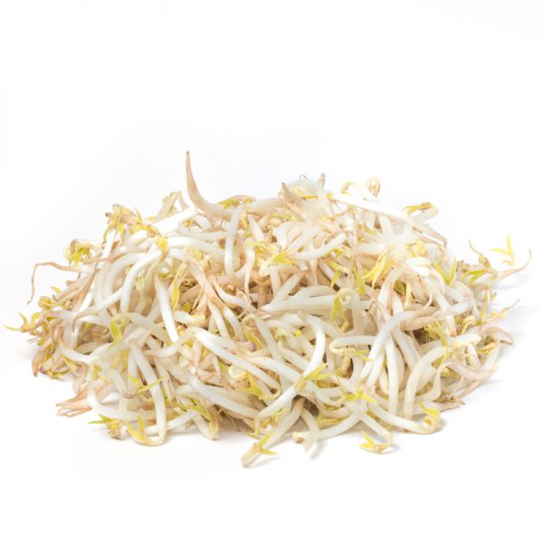 Jual FCW - Toge / Tauge Segar 100 Gram | Shopee Indonesia