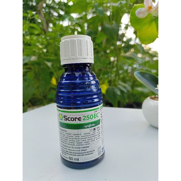 Jual PRODUK ORIGINAL SCORE 250EC 80ML | Shopee Indonesia