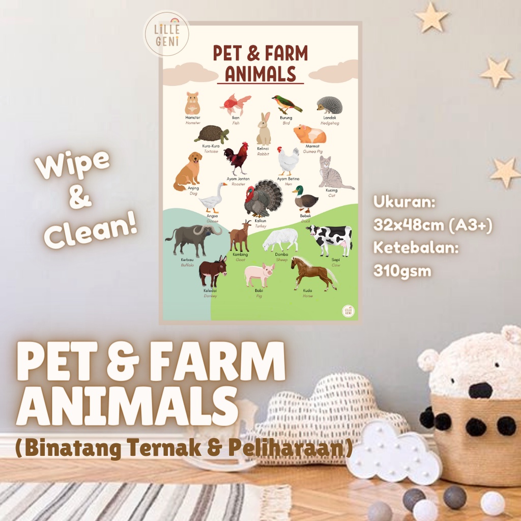 Jual (LGN) PET & FARM ANIMALS (Hewan Peliharaan & Ternak) - Wipe Clean ...